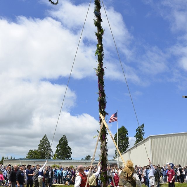 Gallery – 2019 Midsummer Pole Raising | Astoria Scandinavian Festival